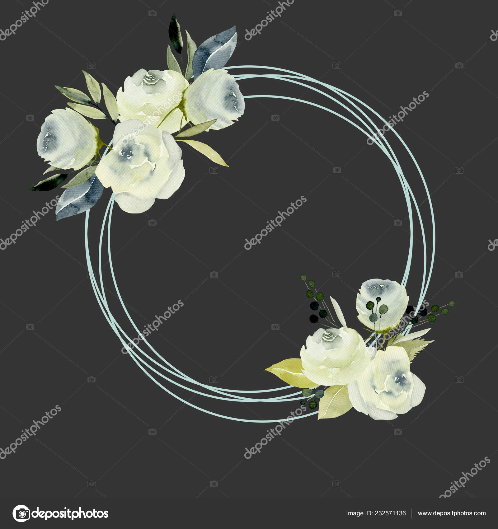 Frame Border Watercolor White Roses Hand Painted Dark Background ...