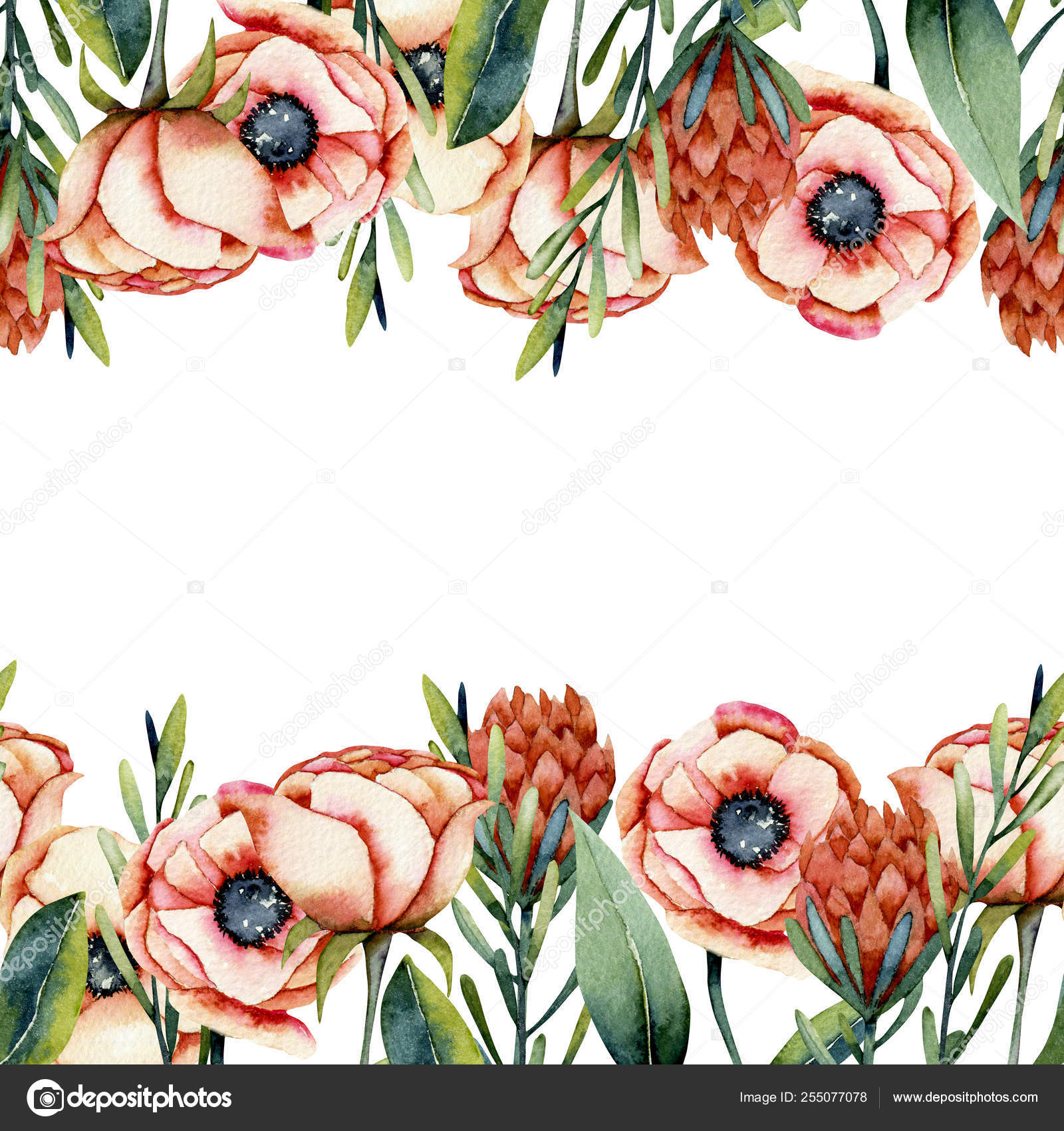 Coral Flower Clip Art Border