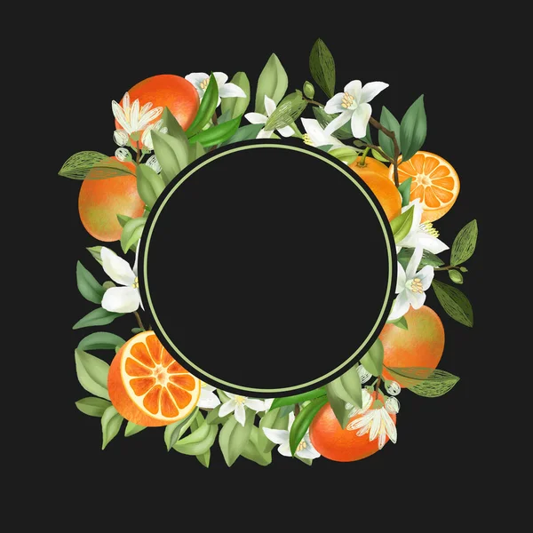 Frame Hand Drawn Blooming Mandarin Tree Branches Mandarin Flowers ...