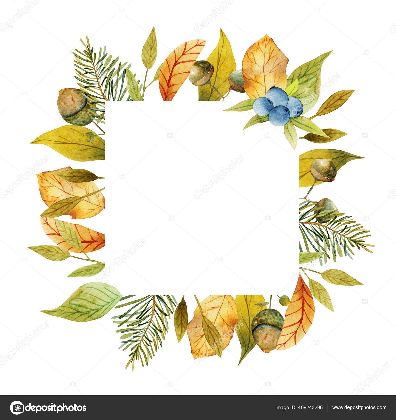 Square Frame Watercolor Acorns Autumn Foliage Pine Branches Hand ...