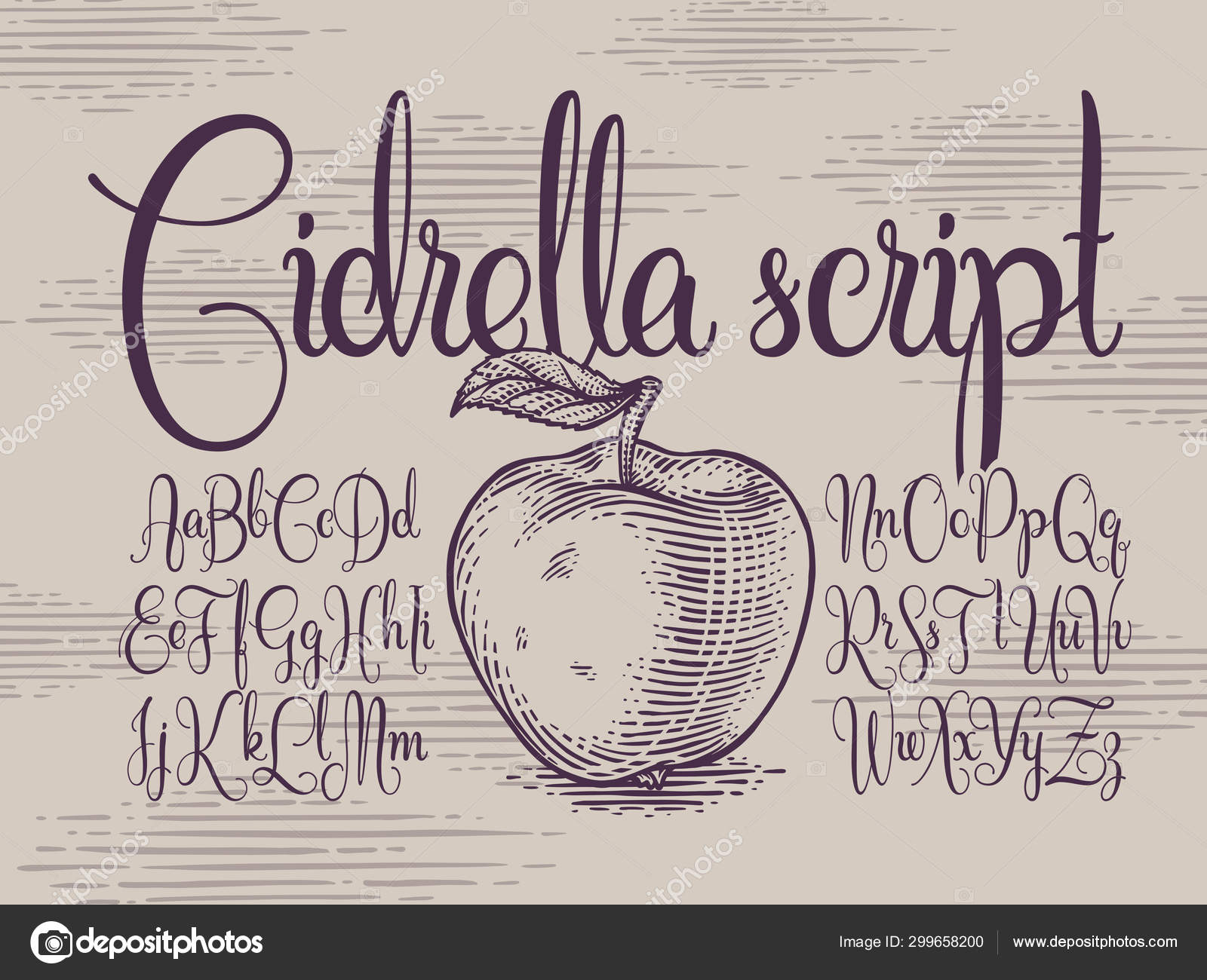 Calligraphic Script Font Cidrella Handcrafted Vector Apple Illustration ...