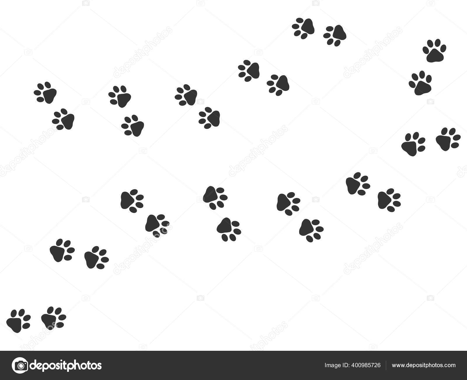 Real Cat Paw Print Trail