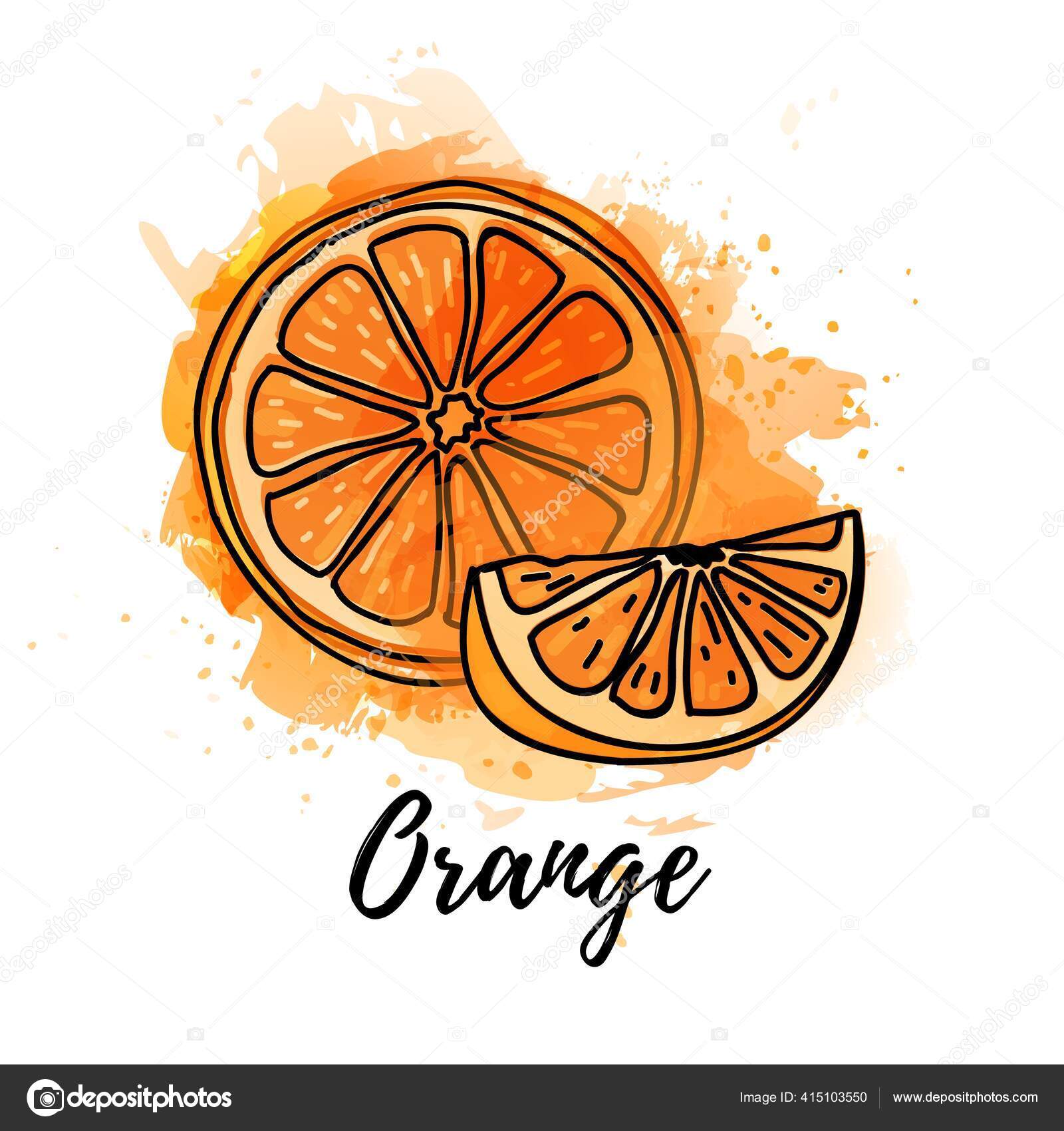 Orange Fruit Vector Design