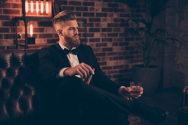 Posh chic wealthy lifestyle concept. Profile side-view portrait of ...