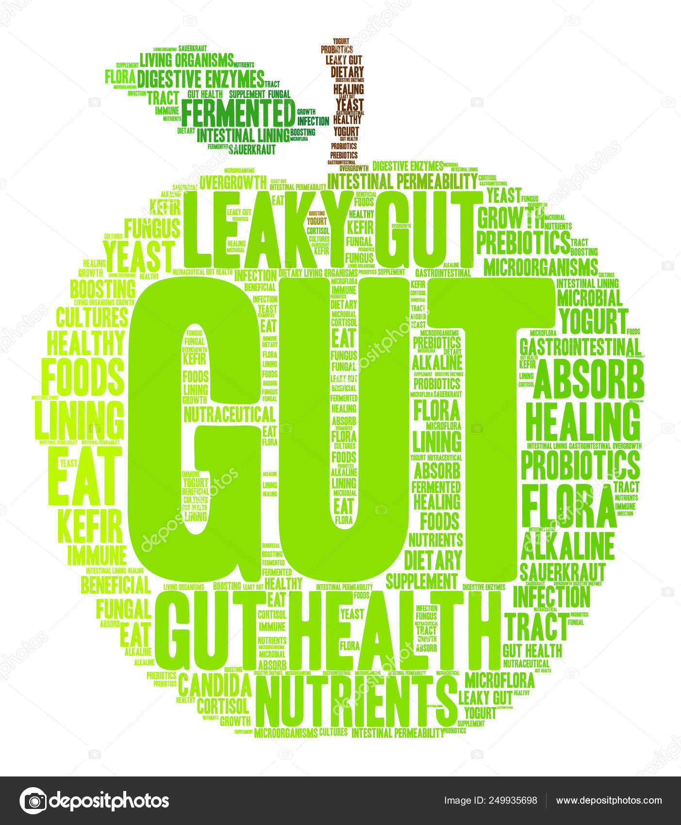 Gut Word Cloud Stock Vector Image by ©arloo #249935698