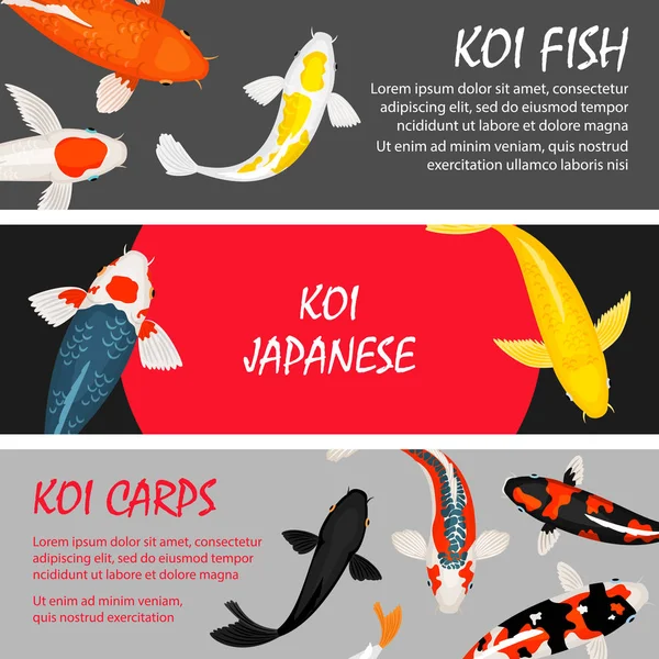 83 Koi fish banners Vectors, Royalty-free Vector Koi fish banners ...