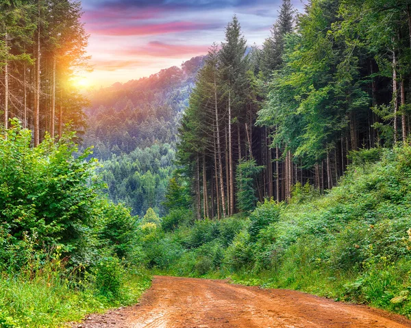 Path through the woods Stock Photos, Royalty Free Path through the ...