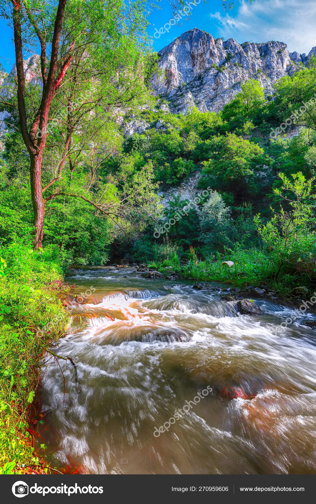 Turda gorge Cheile Turzii is a natural reserve with marked trail Stock ...