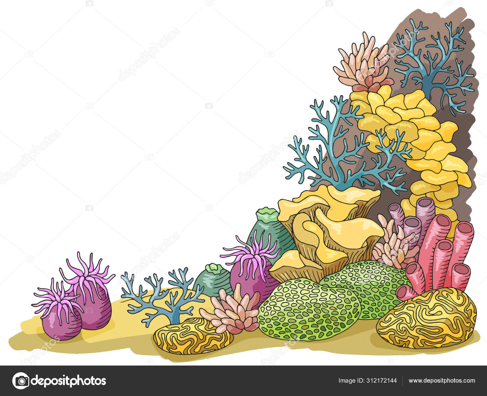 Coral sea graphic color underwater landscape illustration vector Stock ...