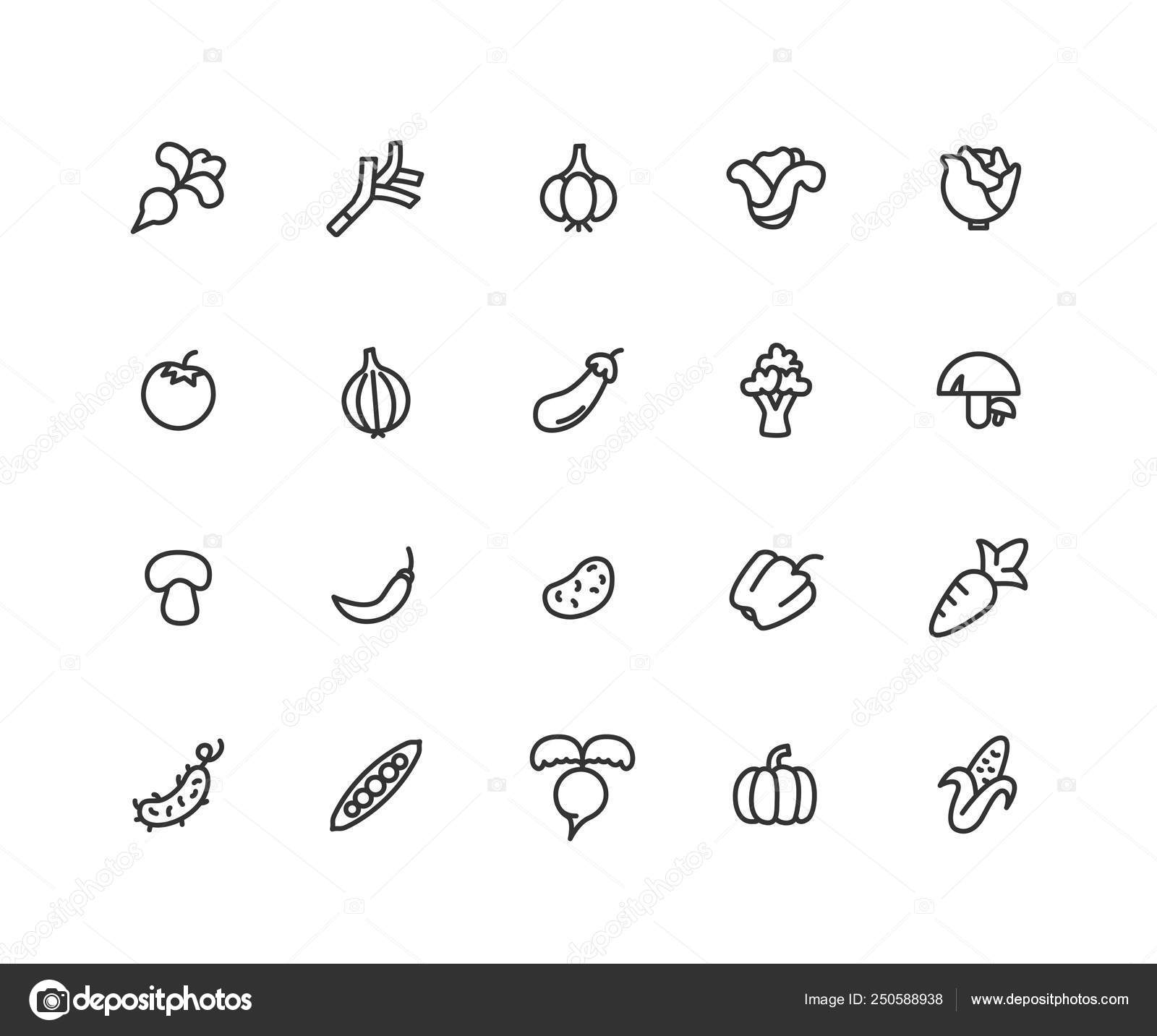 Simple Set of Vegetables Vector Line Icons. Contains such Icons as ...