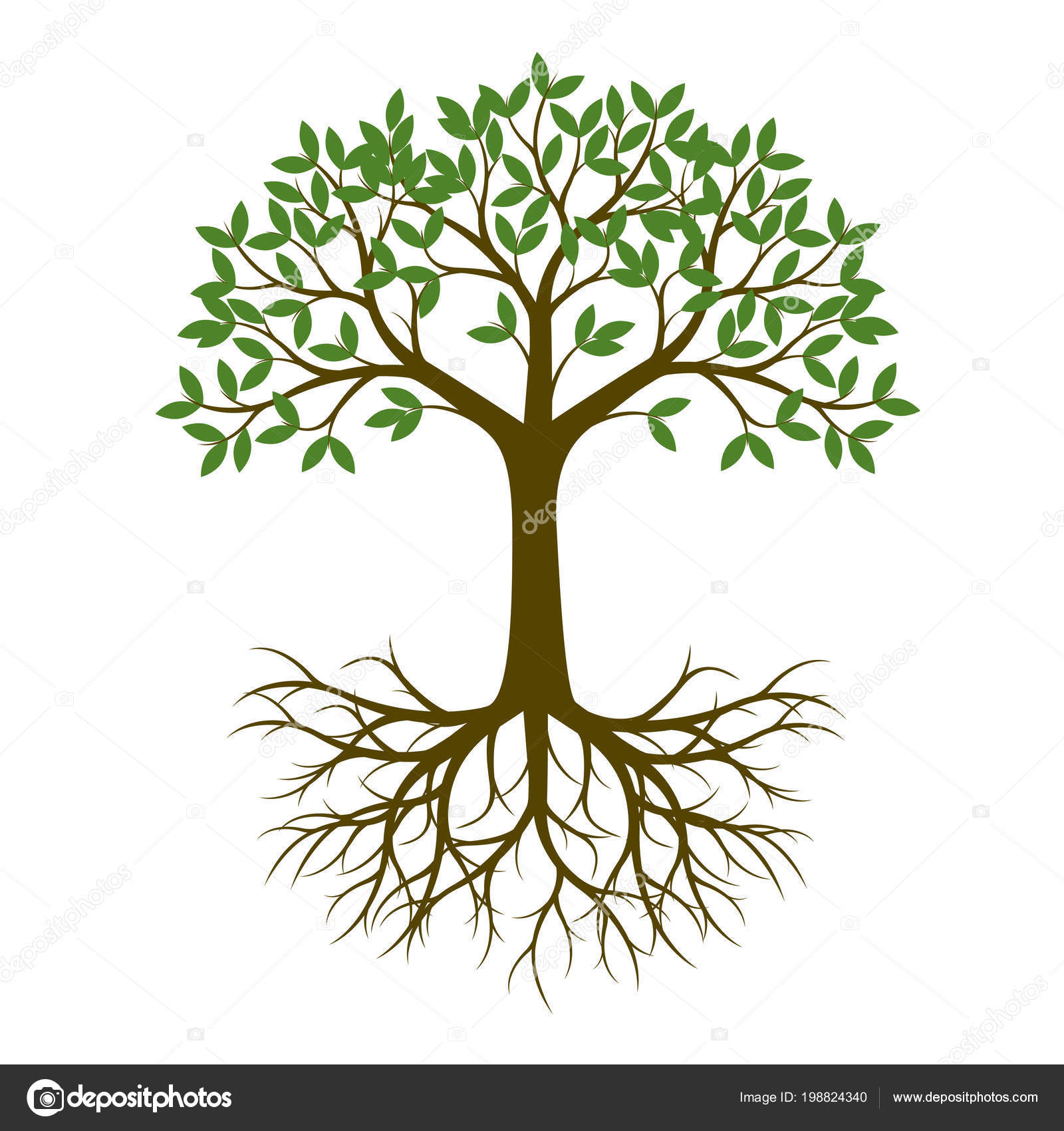 Tegning Av Et Tre Silhuett Av Trær Med Blad På Hvit Bakgrunn. Høye