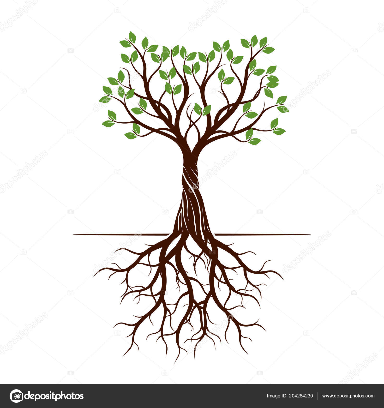 Colored Tree Drawing With Roots