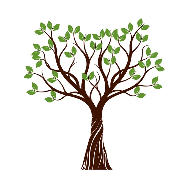 Spring tree, vector Stock Vector Image by ©NikitinaOlga #10863243