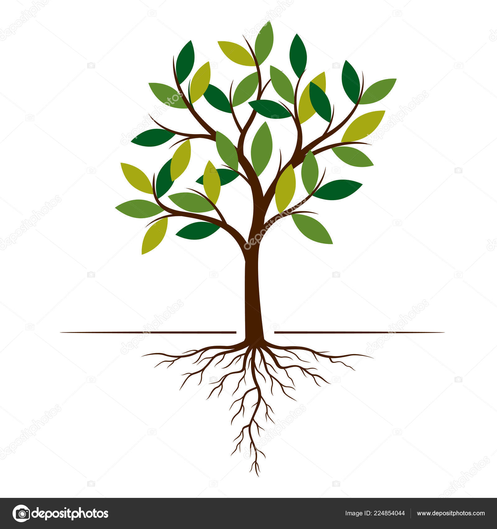 Color Tree Roots Vector Illustration Plant Garden Stock Vector by ...