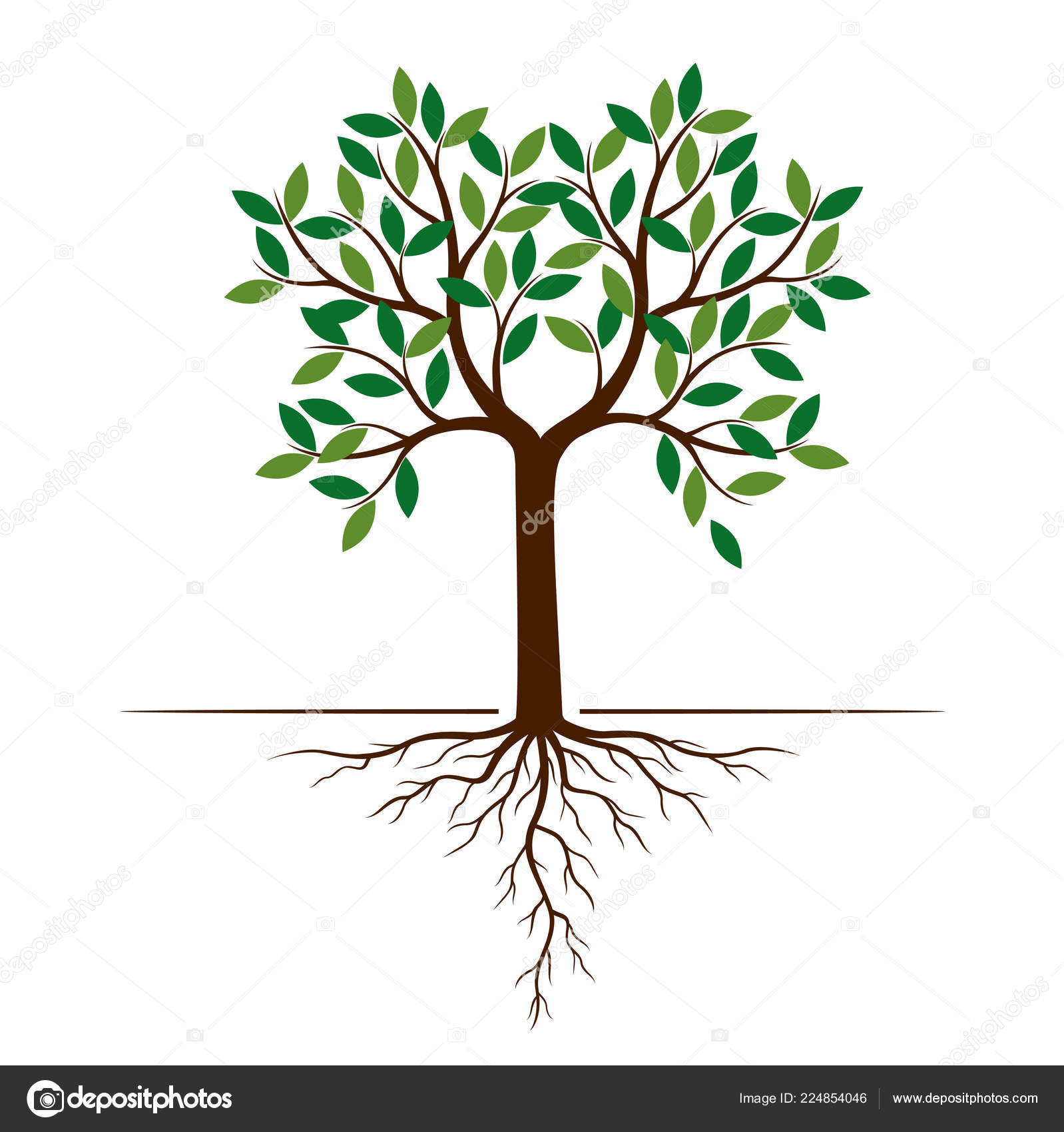 Color Tree Roots Vector Illustration Plant Garden Stock Vector Image by ... Color Tree Roots Vector Illustration Plant Garden Stock Vector Image by ...