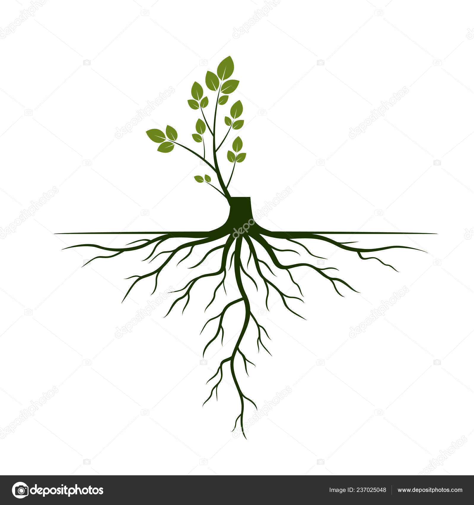 Roots Of Plants Clipart