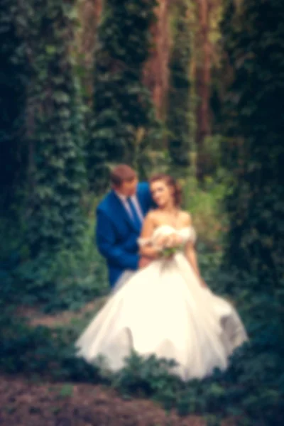 Blurry couple Stock Photos, Royalty Free Blurry couple Images ...