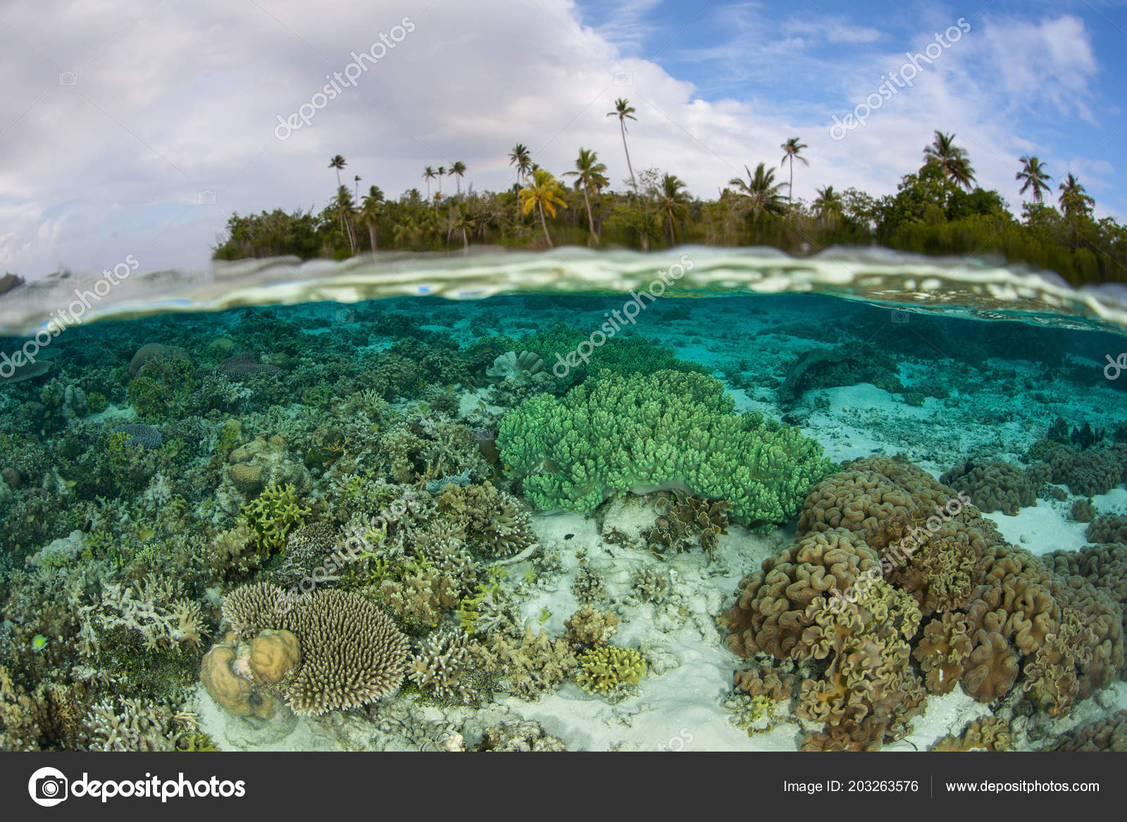 Beautiful Coral Reef Thrives Solomon Islands Remote Area Melanesia Home ...