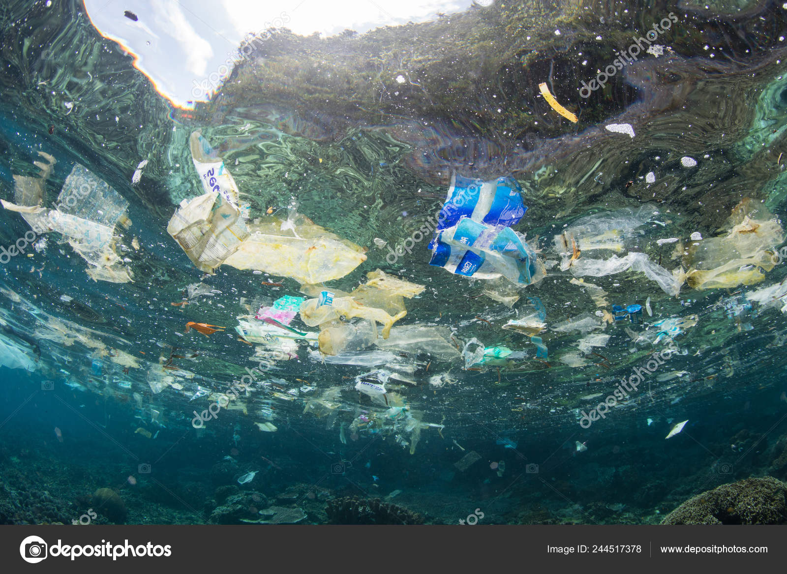 Plastic Garbage Floats Tropical Islands Raja Ampat Indonesia Plastics ...