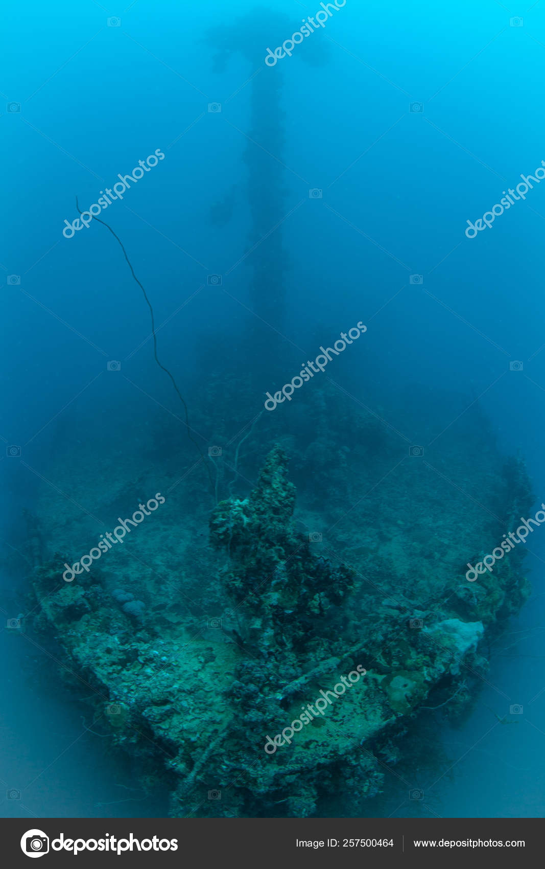 Diver Explores Wreck Chuyo Maru Japanese Ship Sunk World War Stock ...