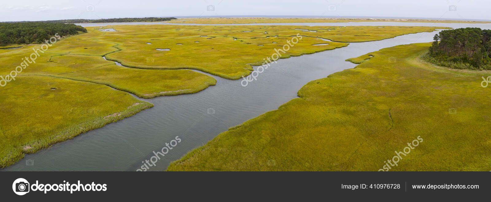 Salt Marshes And Estuaries