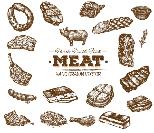 Collection Hand Drawn Meat Sketch Black White Vintage Illustration