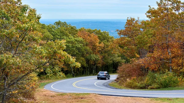 Winding road in a forest in autumn with yellowed and orange trees along ...