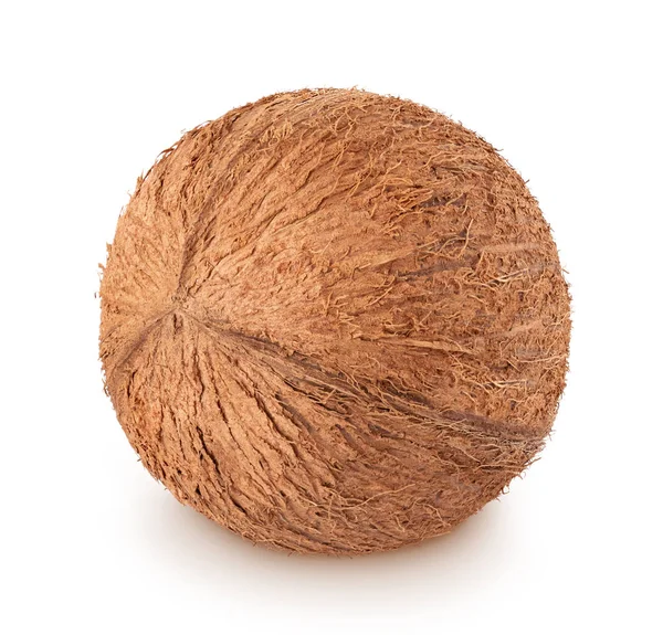 Single coconut Stock Photos, Royalty Free Single coconut Images ...