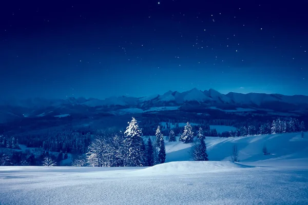 Snowy winter night. Stunning night landscape. Sky with stars over snowy ...