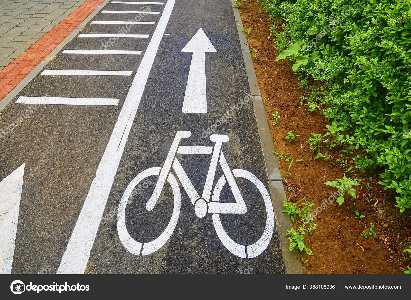 Road section with road markings regulating the movement of cyclists ...