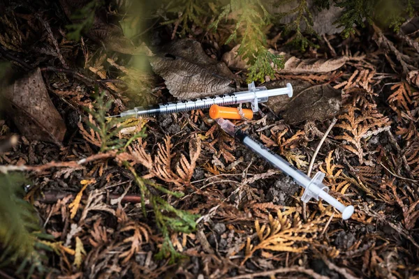 Tree injection Stock Photos, Royalty Free Tree injection Images ...