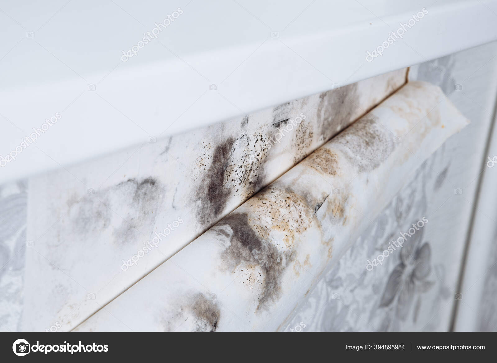 Black mold buildup in the corner of an old house. development of mildew ...