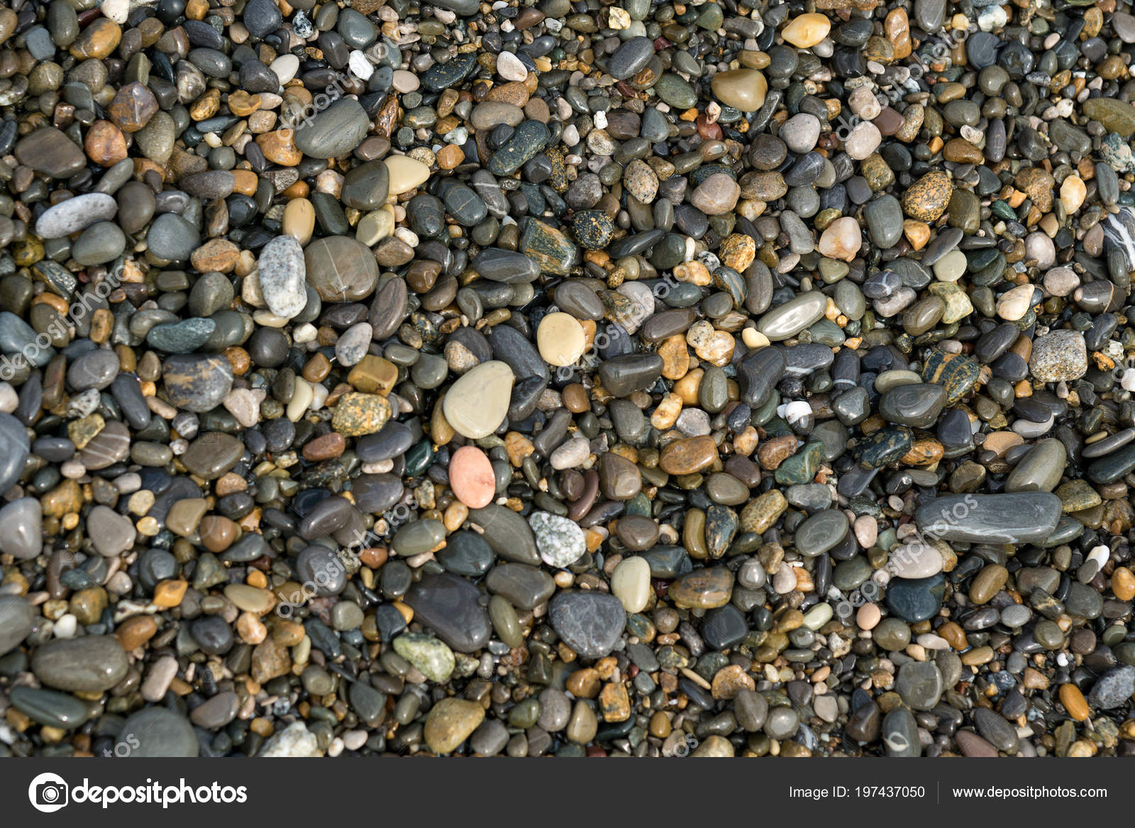 Wet Small Pebbles Beach Background Texture Stock Photo by ©olgamazina ...