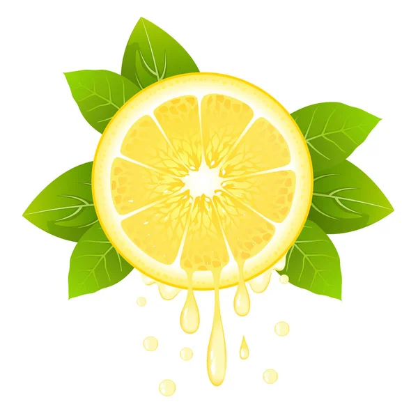 88 Squeeze lemon Vector Images | Depositphotos