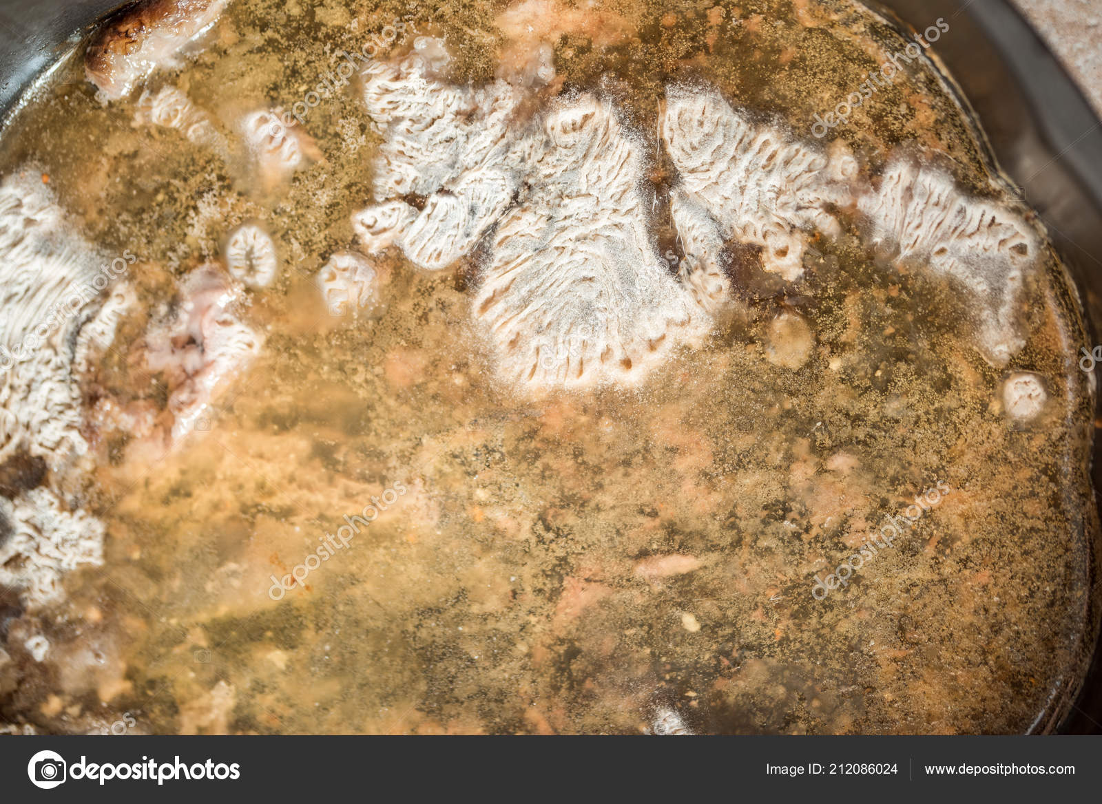 Mold Plate Spoiled Food Stinky Broth — Stock Photo © Irishasel #212086024