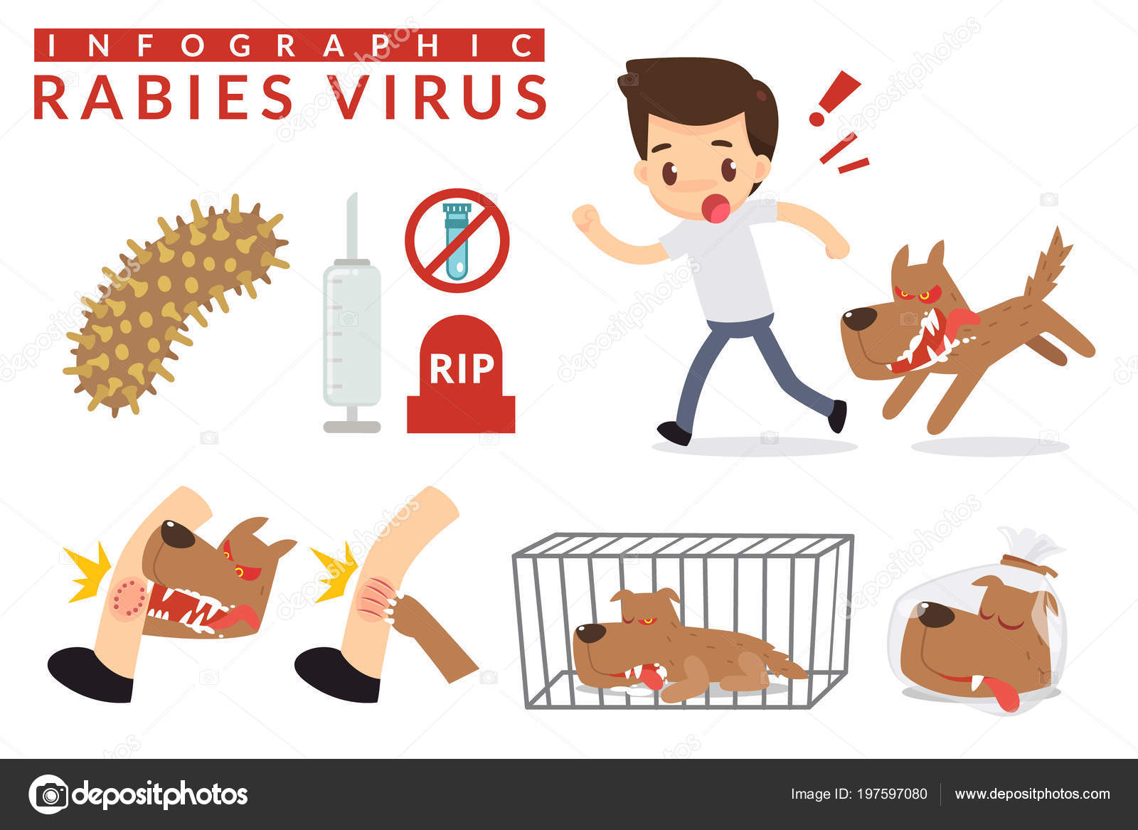 Infografía Dibujos Animados Rabia Hidrofobia Infografía Ilustración de ...