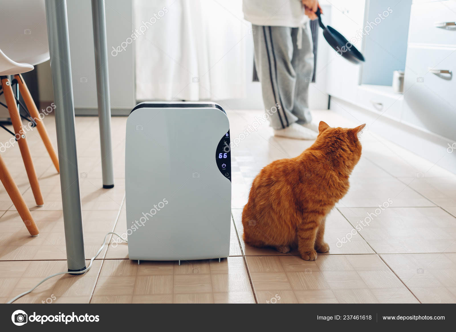 Dehumidifier Touch Panel Humidity Indicator Lamp Air Ionizer Water ...