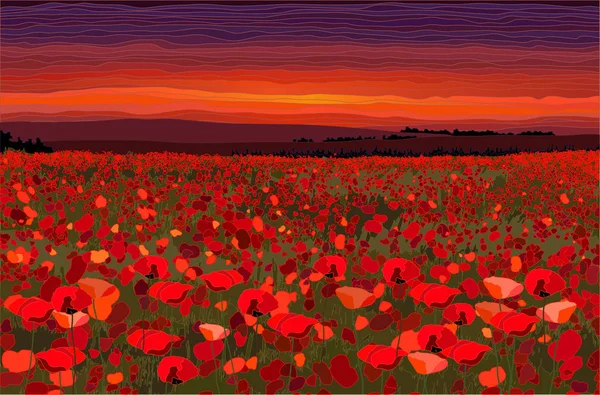 100,000 Poppy field in provence Vector Images | Depositphotos