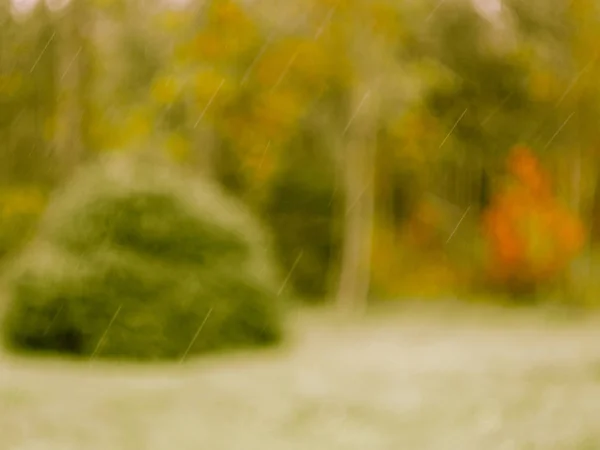 Drizzling rain Images - Search Images on Everypixel