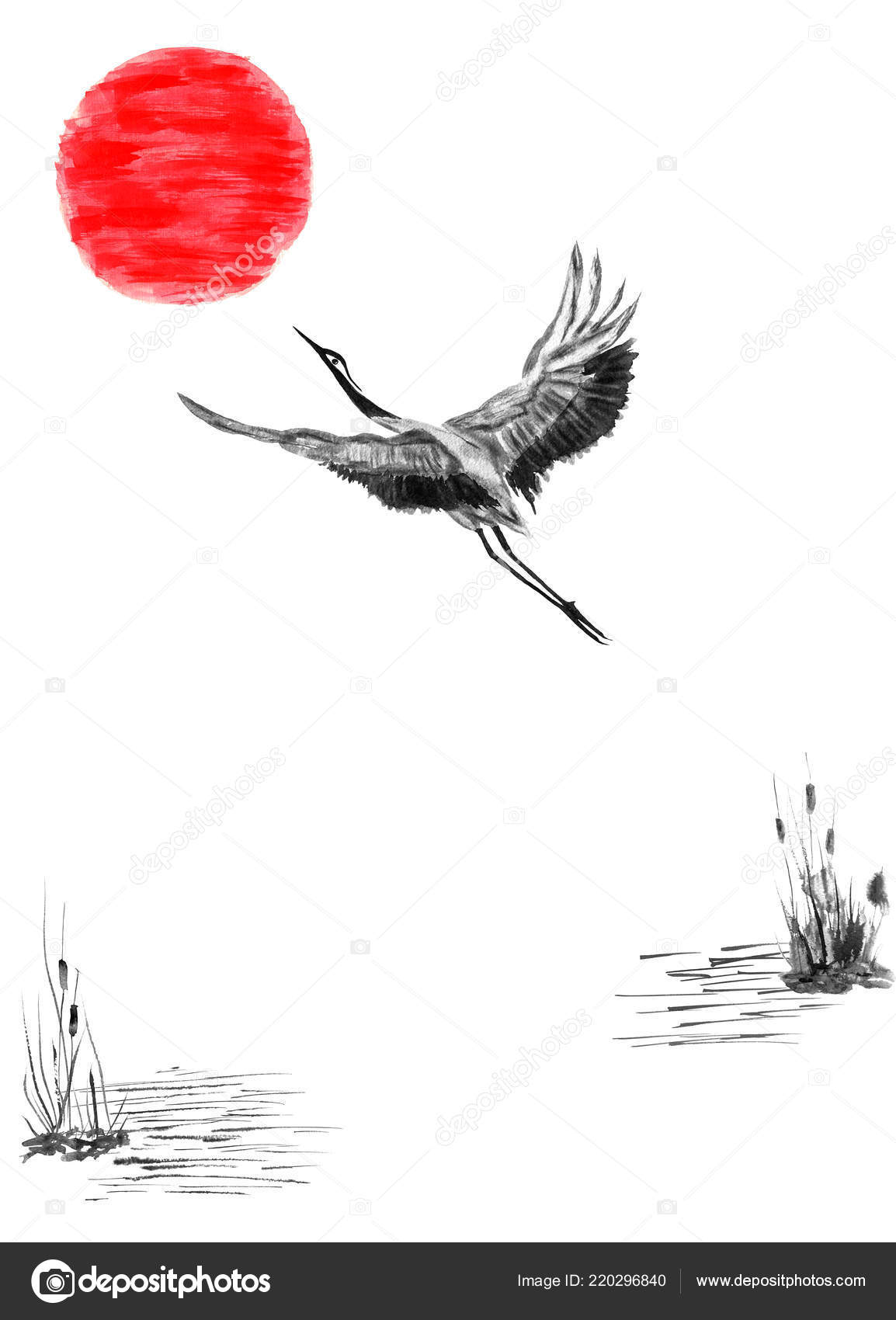 Crane Bird Drawing