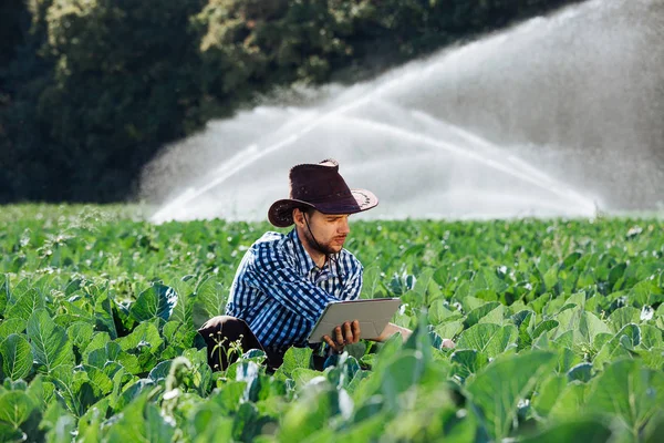 Irrigation computer Stock Photos, Royalty Free Irrigation computer ...