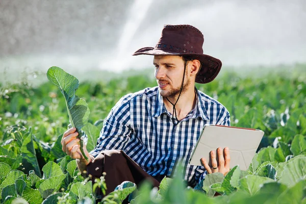 Farming computer Stock Photos, Royalty Free Farming computer Images ...