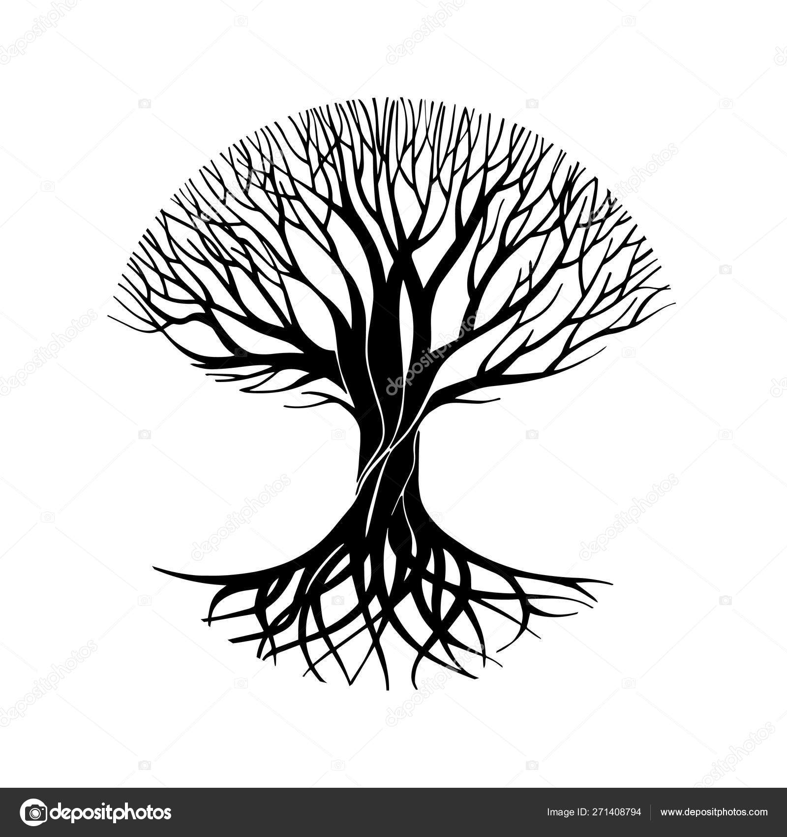 Tree Silhouette Roots Circle