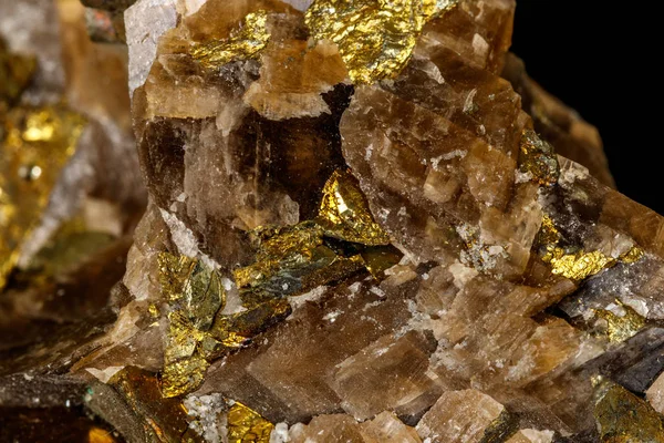 Minerals and fossils Stock Photos, Royalty Free Minerals and fossils ...