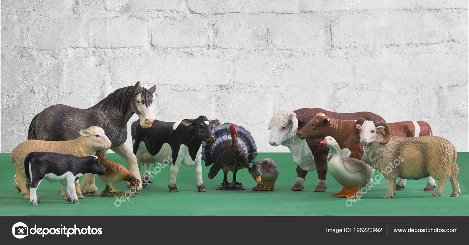 Group Farm Animals Stand Circle Green Background — Stock Photo ...