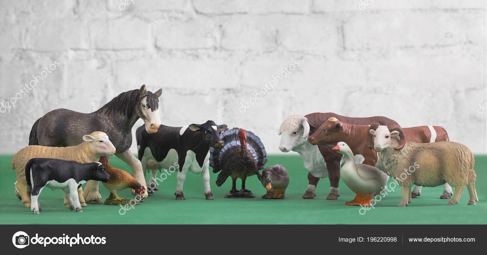 Group Farm Animals Stand Circle Green Background — Stock Photo ...