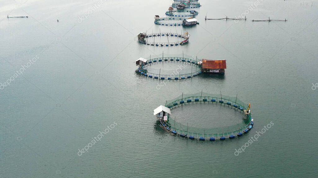 Granja de peces con jaulas para peces y camarones en Filipinas, Luzón ...