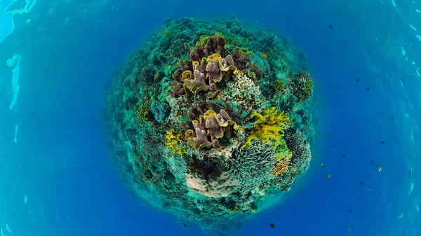 Half moon reef Stock Photos, Royalty Free Half moon reef Images ...