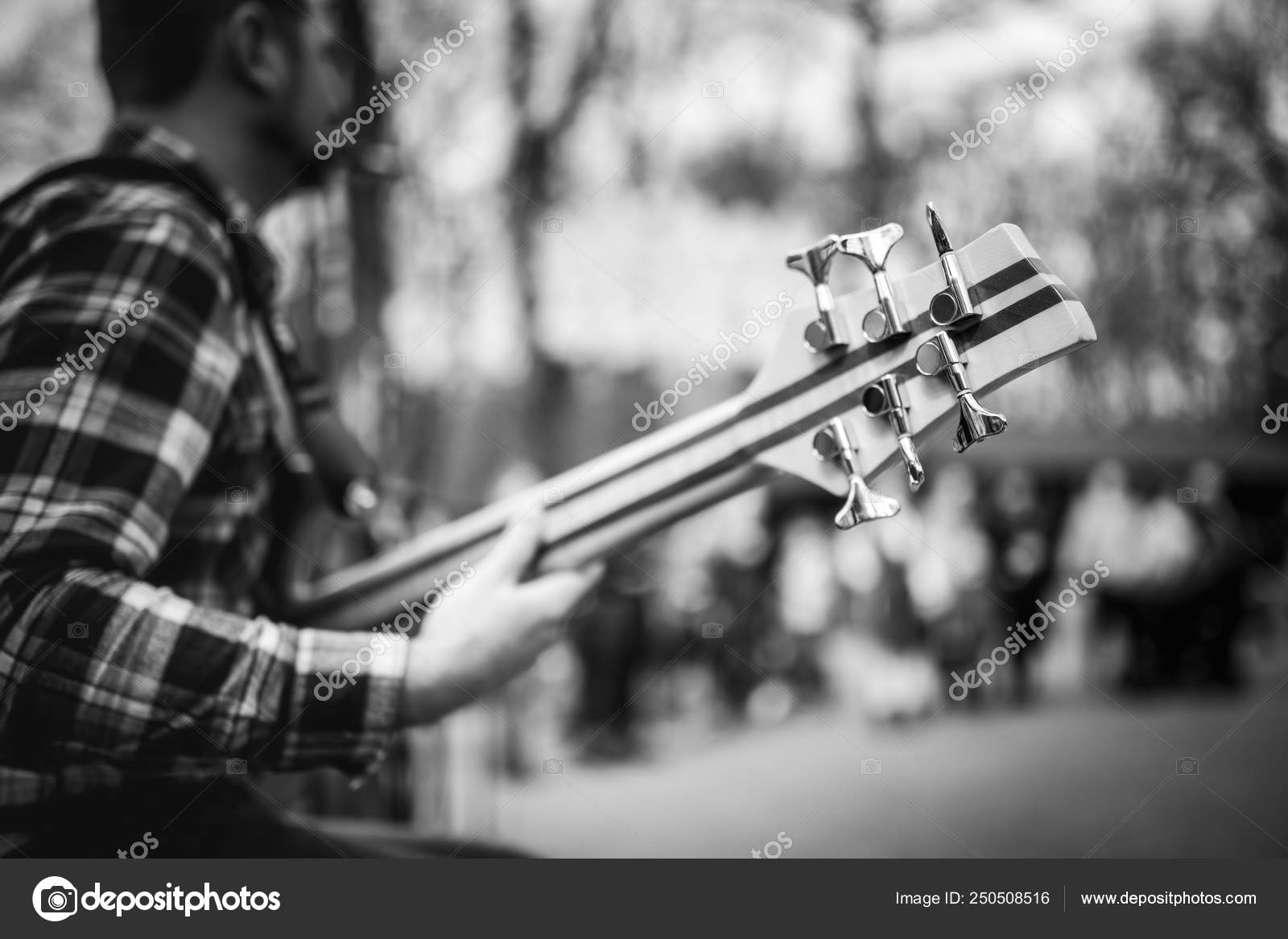 Black and white photo of musician playng on six string fretless bass ... Black and white photo of musician playng on six string fretless bass ...