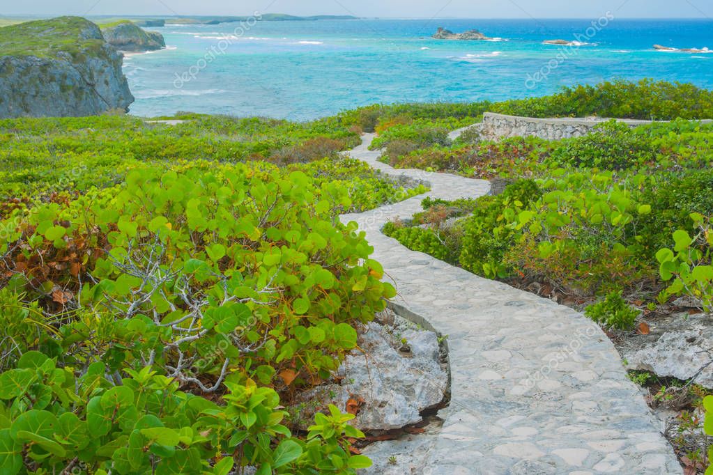Winding concrete and stone path through green vegetation to Carr ...
